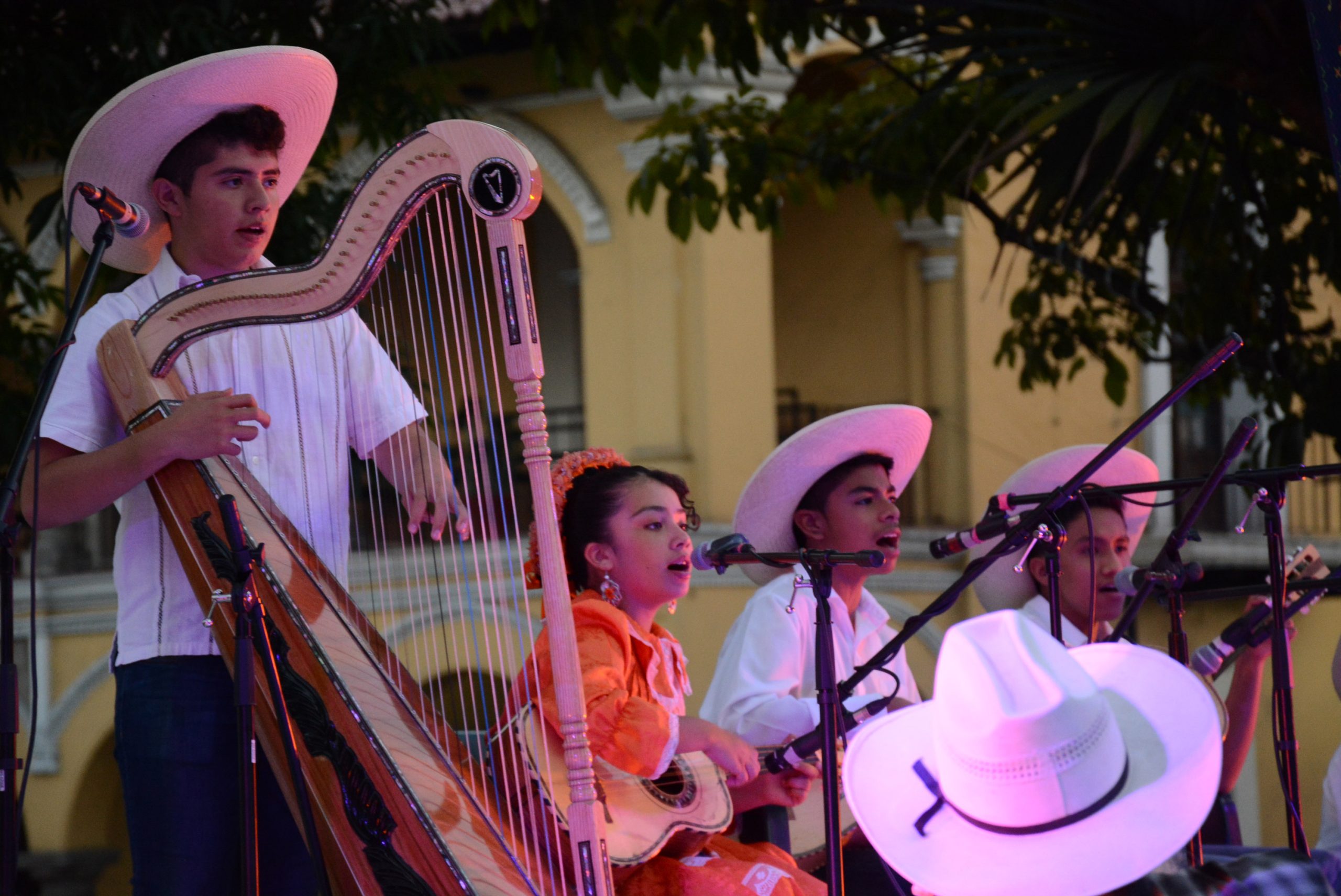 Huapango y son jarocho, el Museo Nacional de Culturas Populares ...